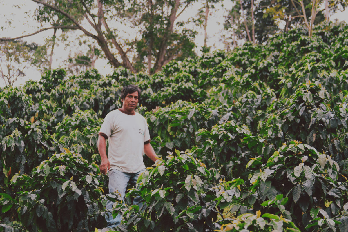 Home - Hudsons Coffee